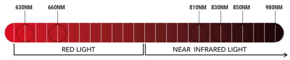 Spectra Vs Theralight 360 - Spectra Red Light